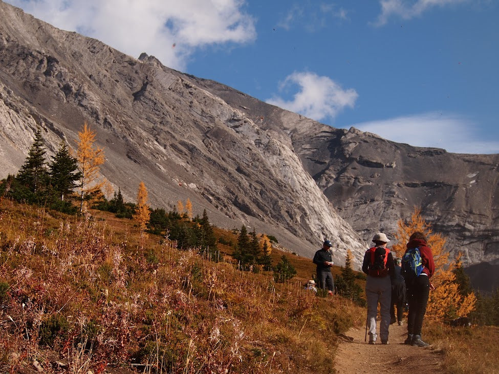 Best Easy Hikes Near Calgary! – BownessSoapworks